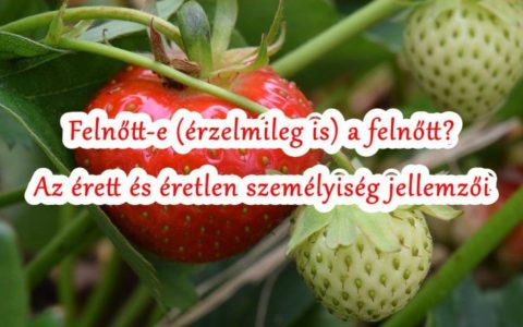 Az érett személyiség jellemzői | Aktívtransz Pszichológia